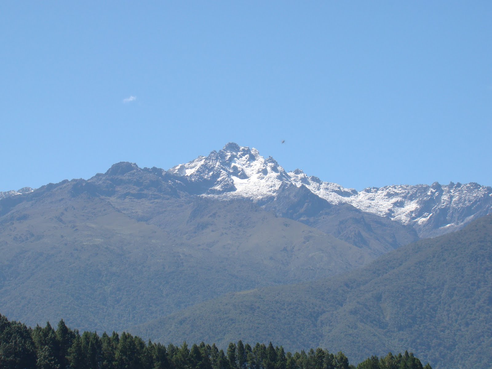 TU GUIA EN VENEZUELA: Sierra Nevada, Edo. Mérida