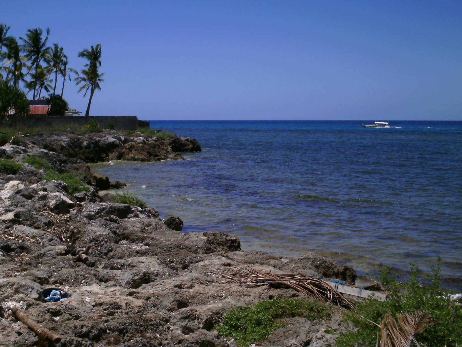 Real Estate: Olango Island