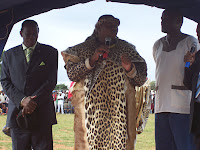 Volunteering in South Africa: One of the most amazing days of my life ...