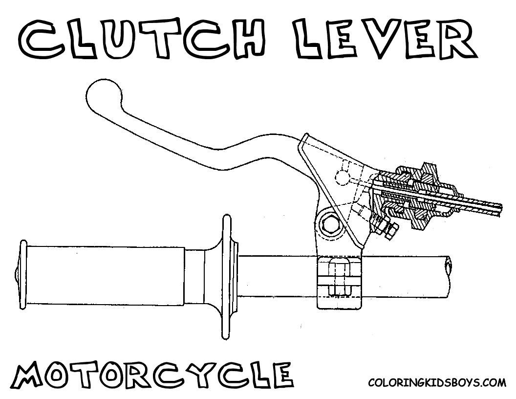 Lever Coloring Page Coloring Pages