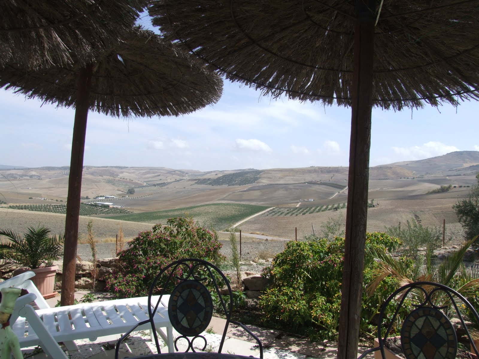 Olvera diary: The road to El Rodeo