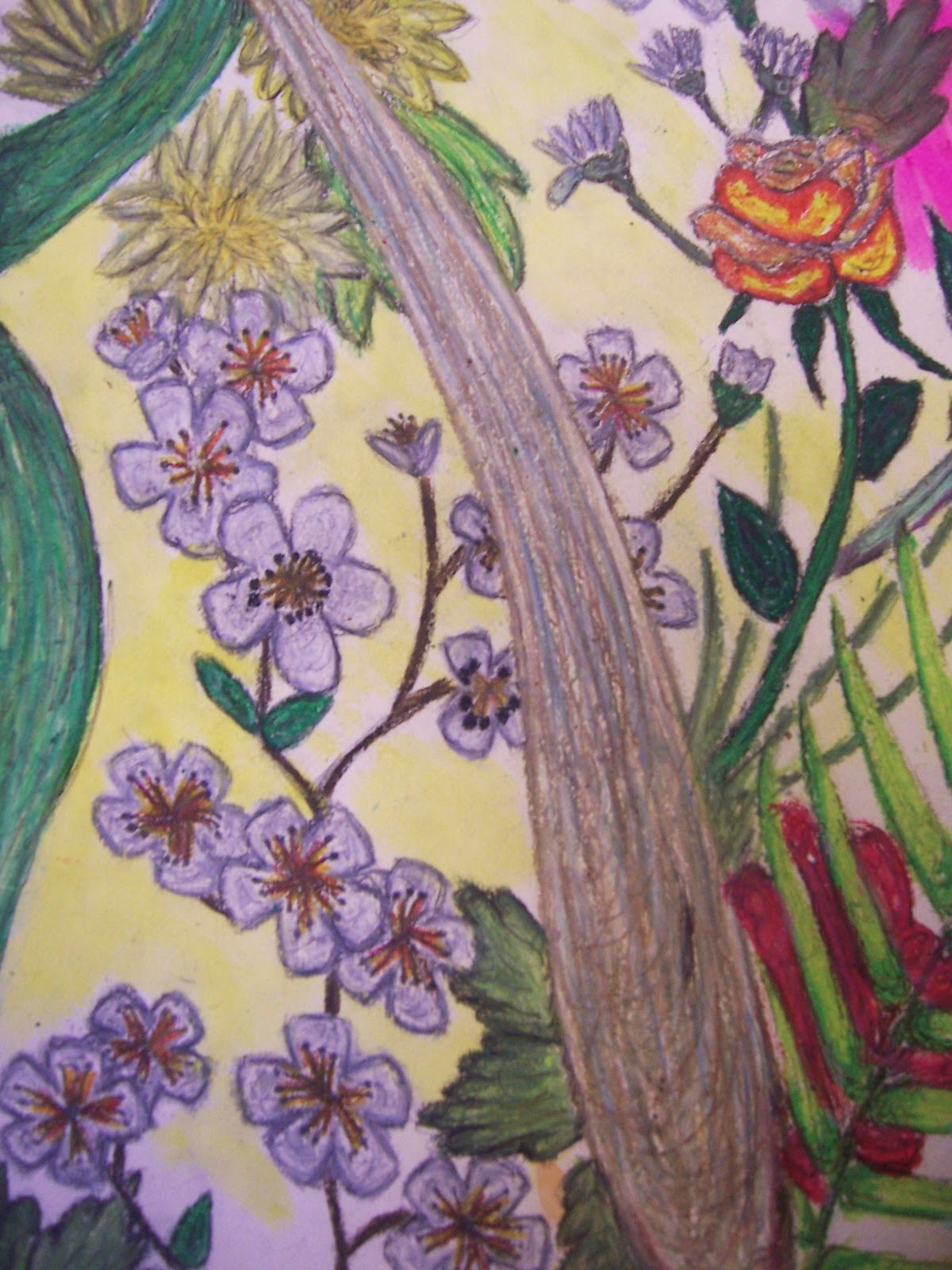 Digital Portfolio: Observational Drawings from Flowers.