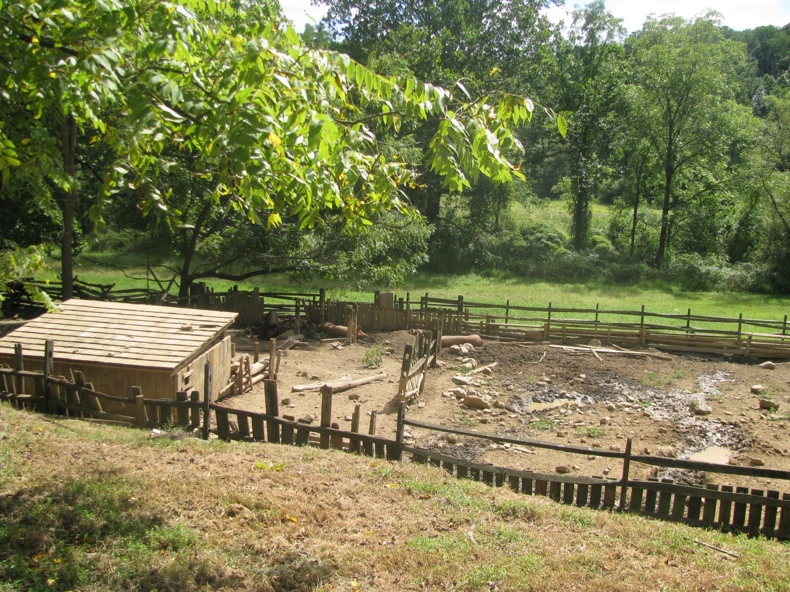 Eric's Days of Battle: The Colonial Pennsylvania Plantation - Sept 4, 2010