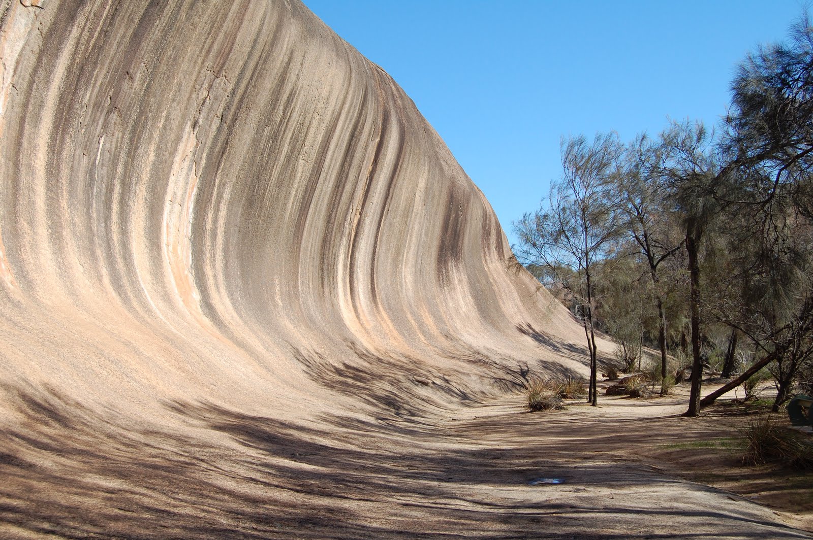 My Bleedin Art: Wave Rock, WA