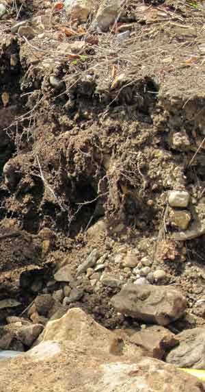 The Mother Lode of Gold Prospecting, & gold panning How to and tips ...