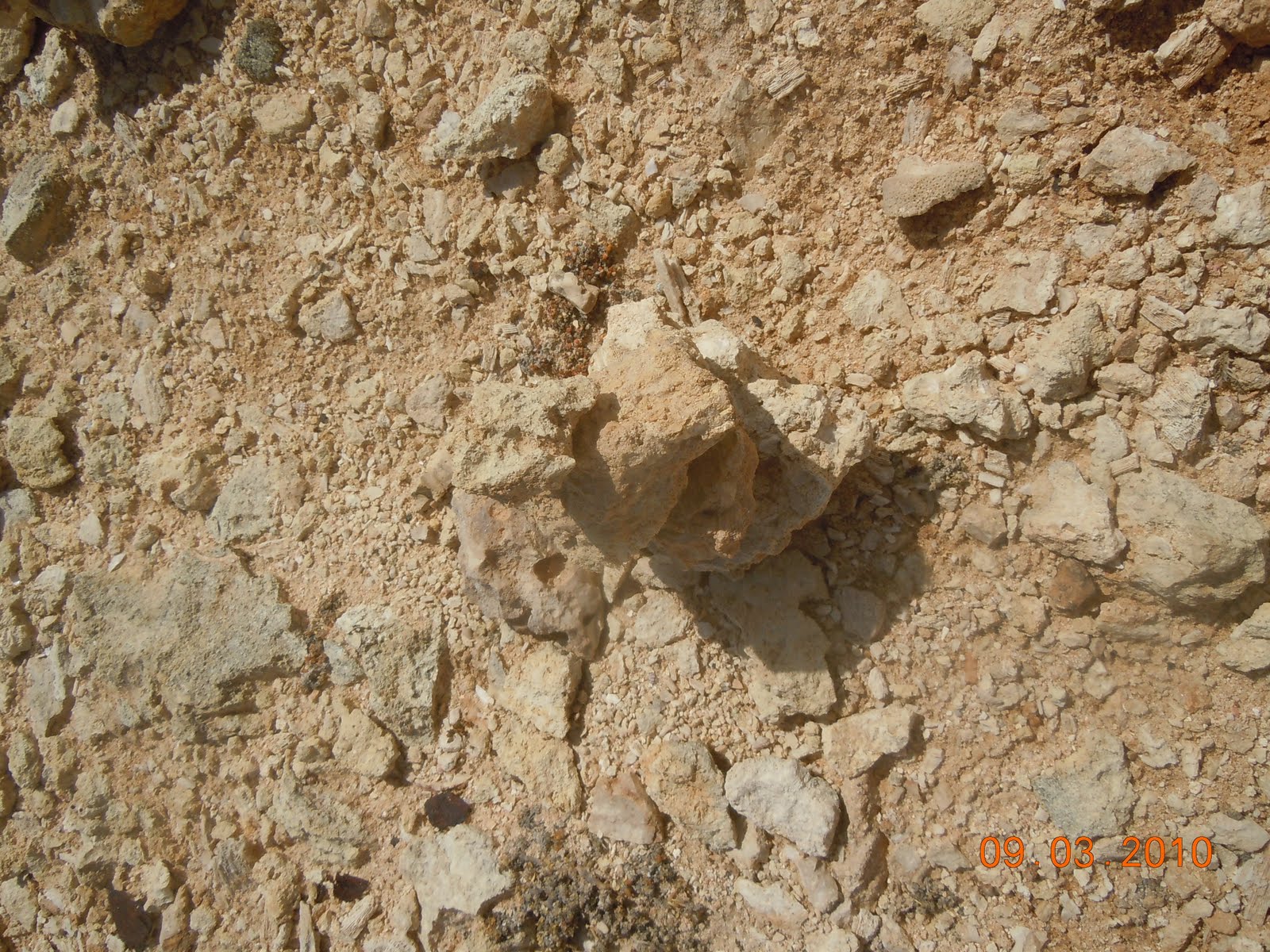 Lucy, Duke & Their Humans: Aruba....Stack A Rock & Make A Wish