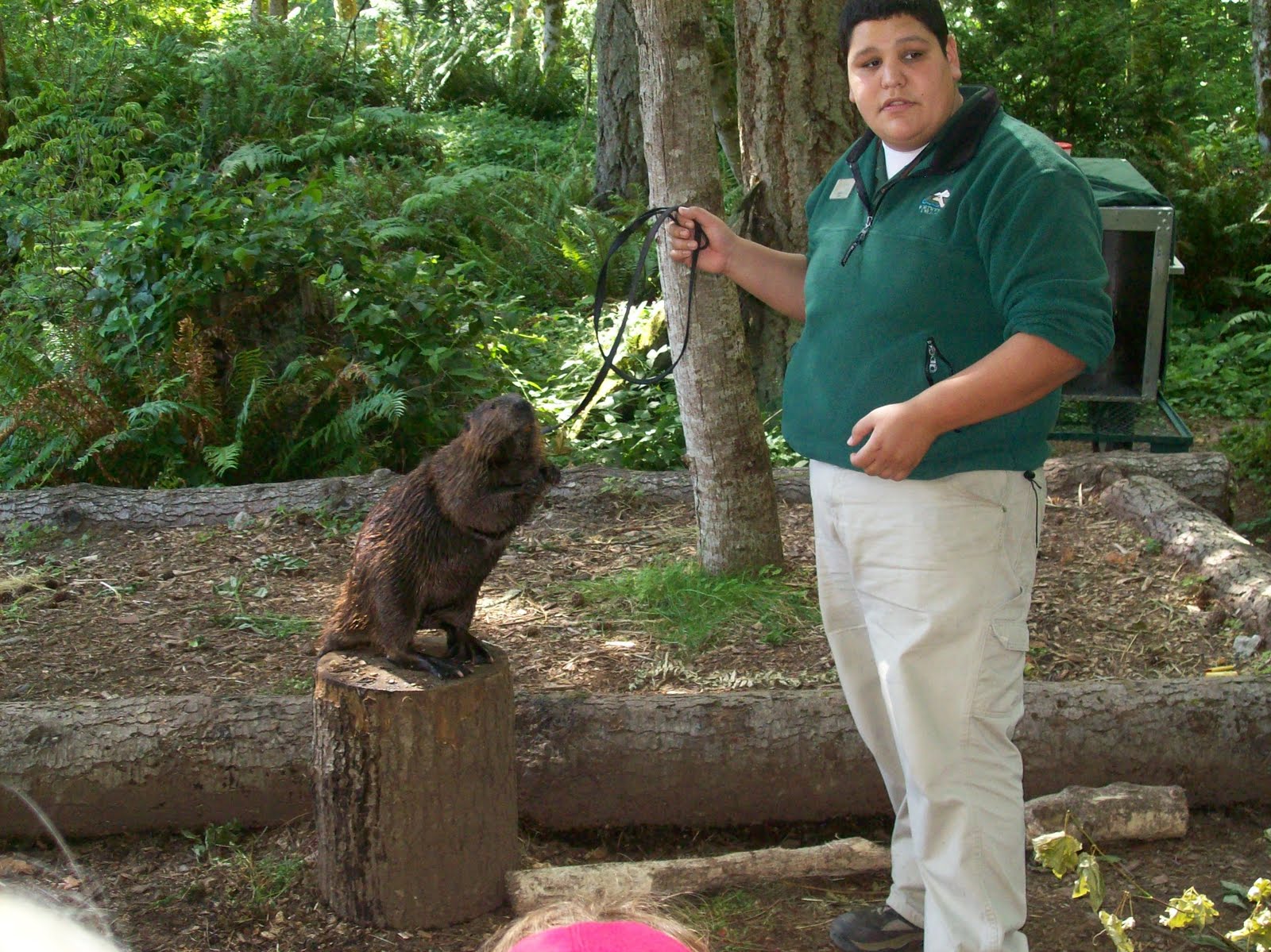 Life: Be In It!: Northwest Trek July 2010