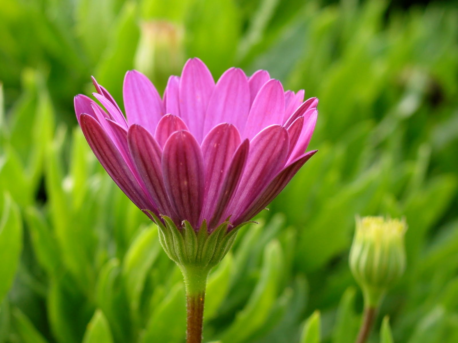 I Heart Accessories: June 2010