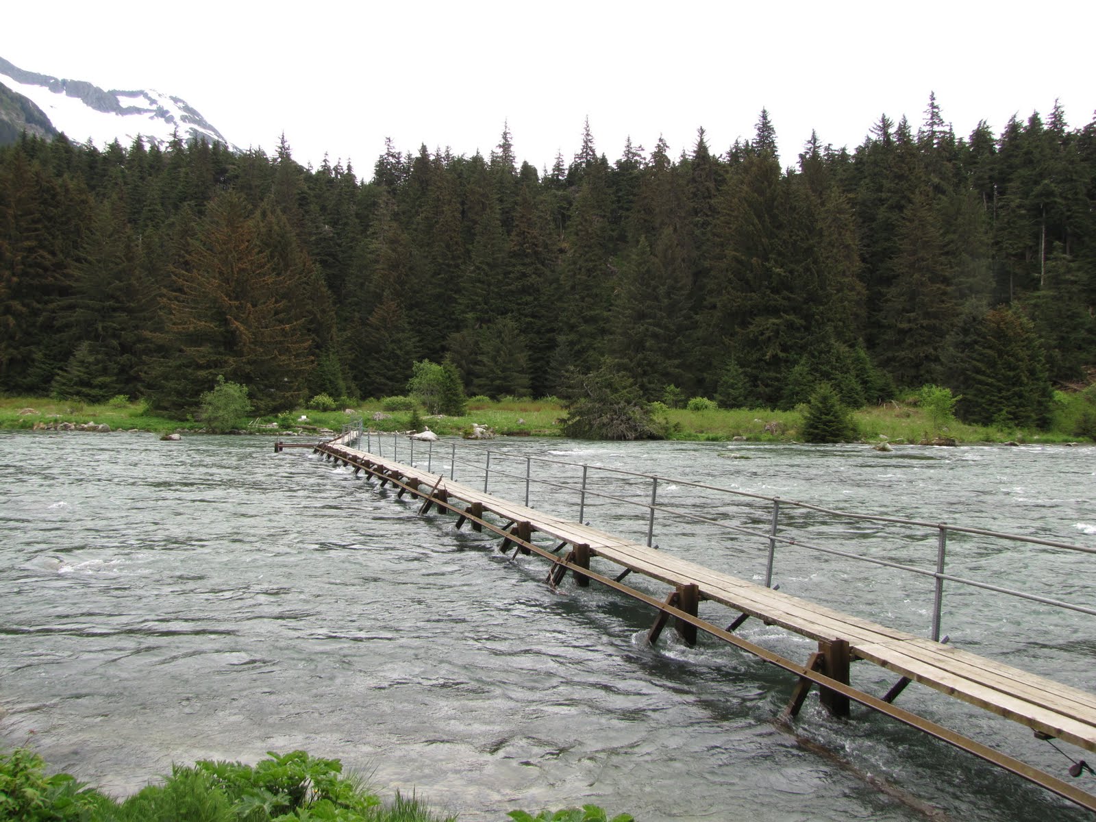 SUMMER CAMP HAINES ALASKA 2010: CHILKOOT RIVER & FISH WEIR