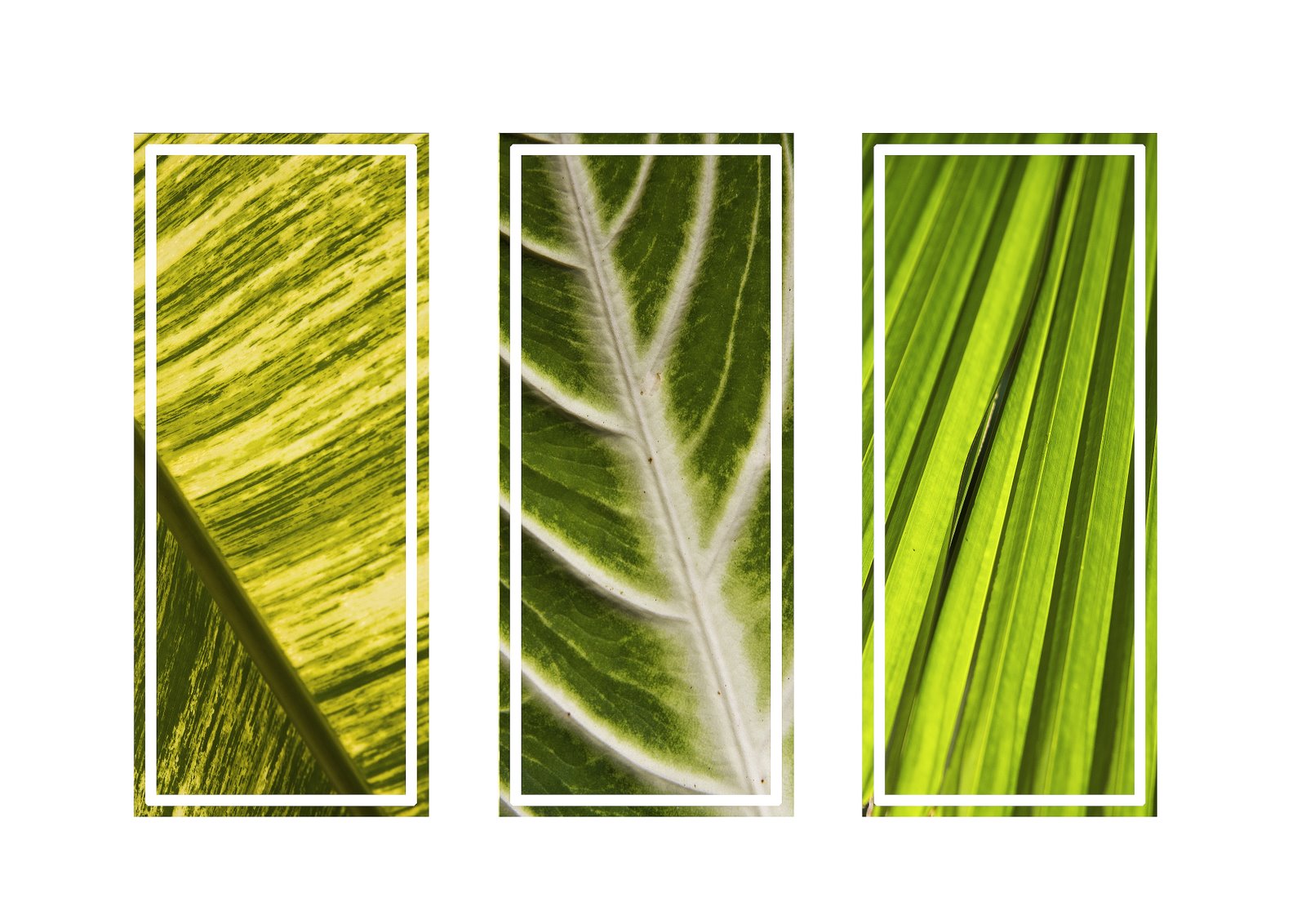 HellonEarth - Photoblog (Thailand Travel): Triptych