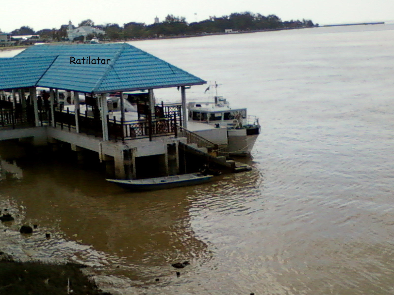 Muar River View