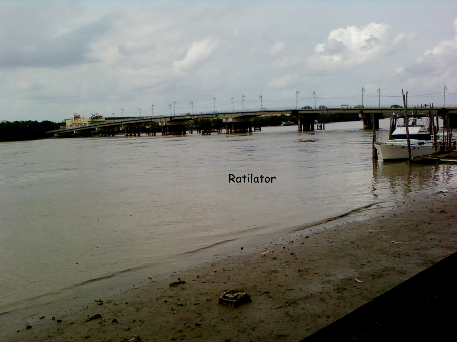Muar River View