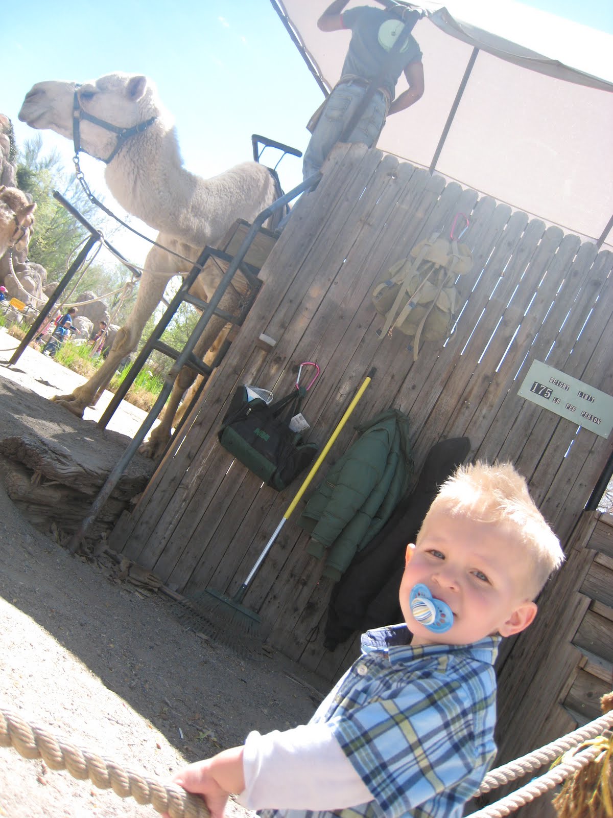 Kurt and Elissa Pedrotty: Mommy and Matthew time pre-baby