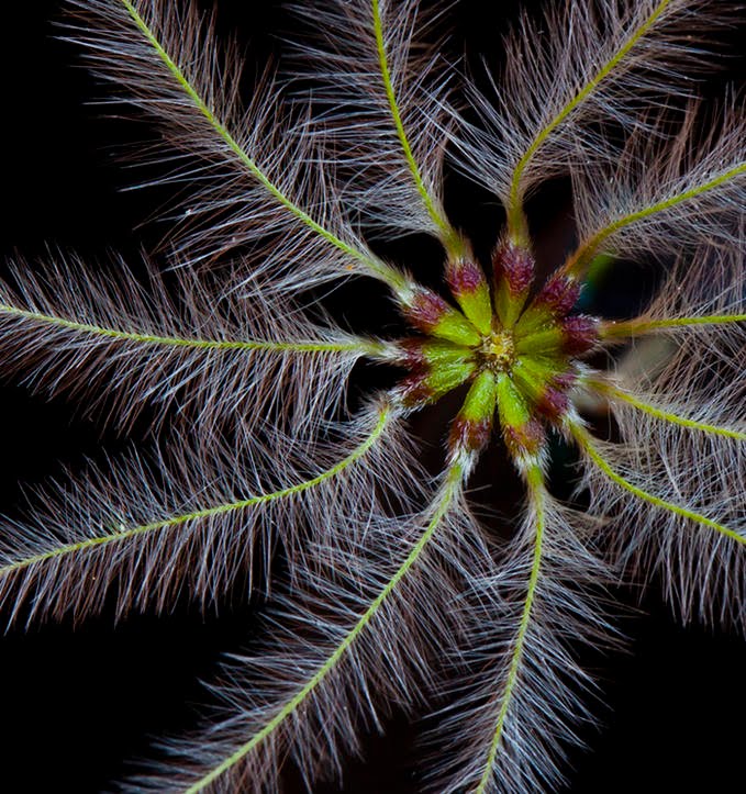 my best photo selection: Line in Nature