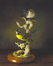 Trinos de Aves en Vuelo: Conmemoracion del Natalicio de Elpidio Collazo ...