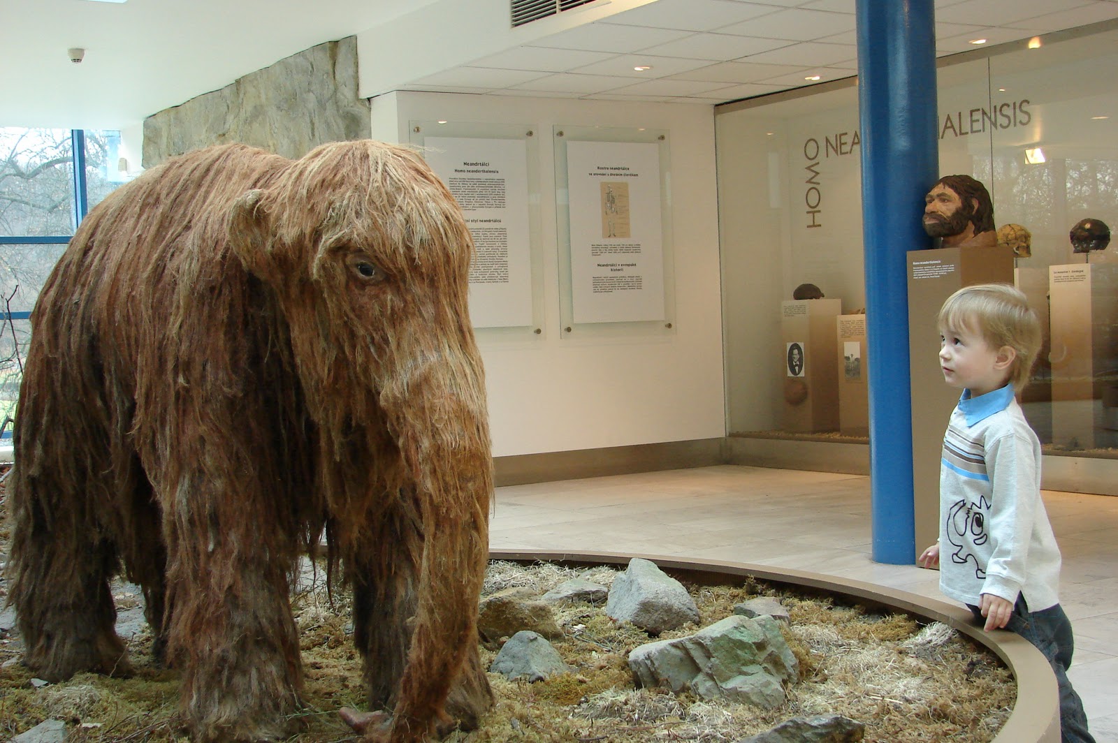 MALI WĘDROWCY: Moravské Zemské Muzeum, Pavilon Anthropos, Brno