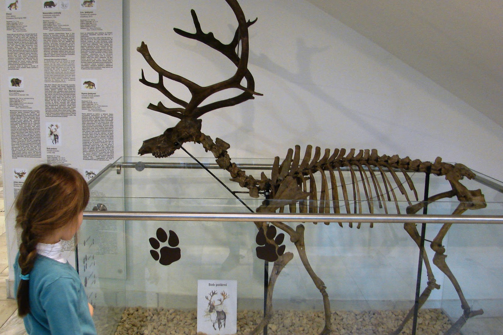 MALI WĘDROWCY: Moravské Zemské Muzeum, Pavilon Anthropos, Brno