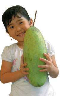 Fandi Oye !: Comparing the Weight of Jumbo Mango Varieties