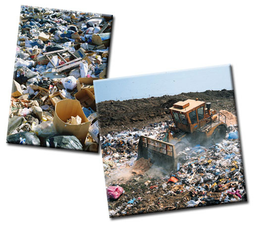 Skeisha R W Week 6 Damages To The Environment skeisha-r-w-week-6-damages-to-the-environment