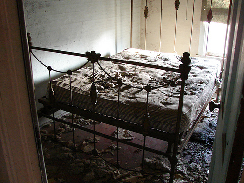 Lavey's Blog: Unit 3 Environment Research