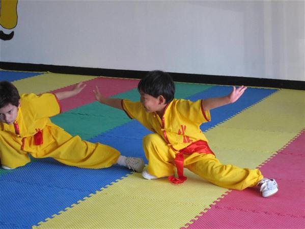 Vive...rie...ama: Kung-Fu and Ballet 2!