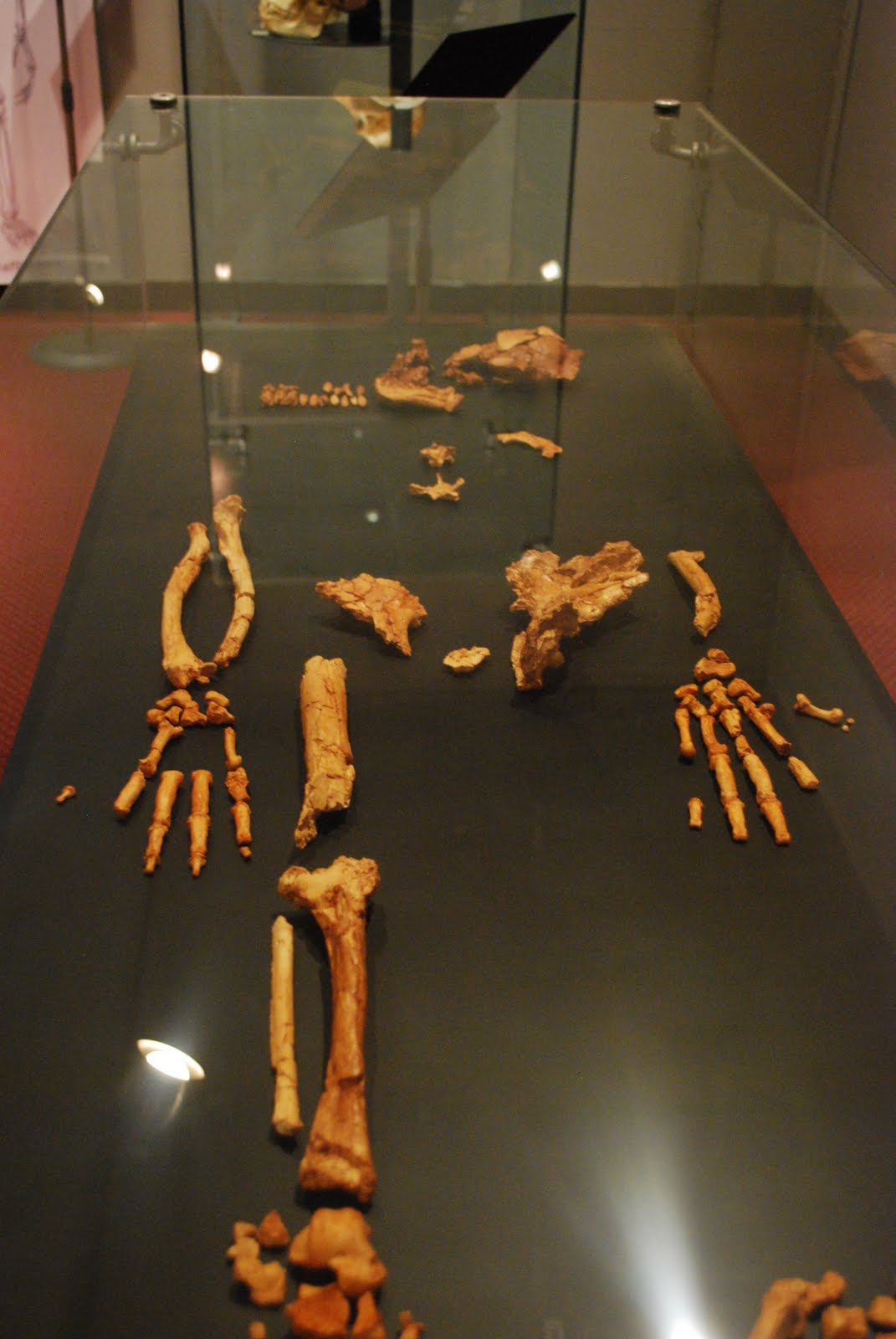 Vive...rie...ama: Discovering ET history in Addis