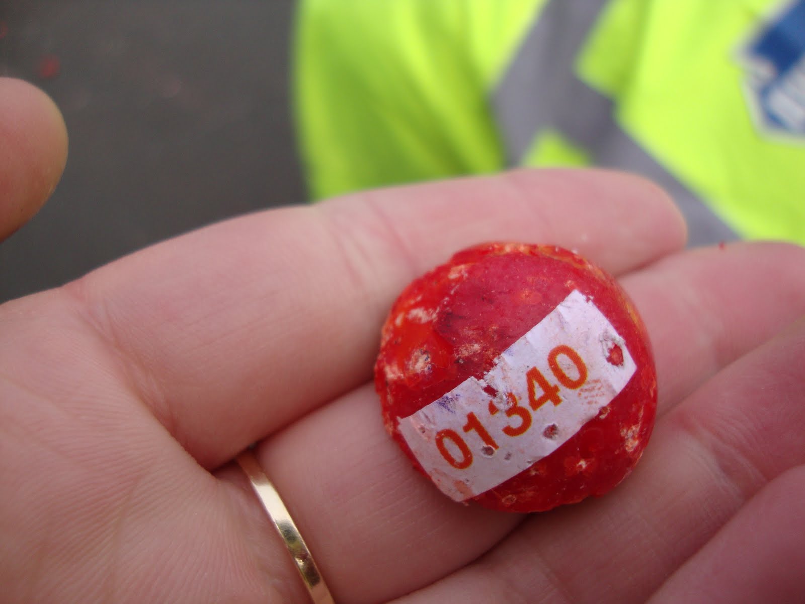 Kiwis and Kumara: Jaffa Race