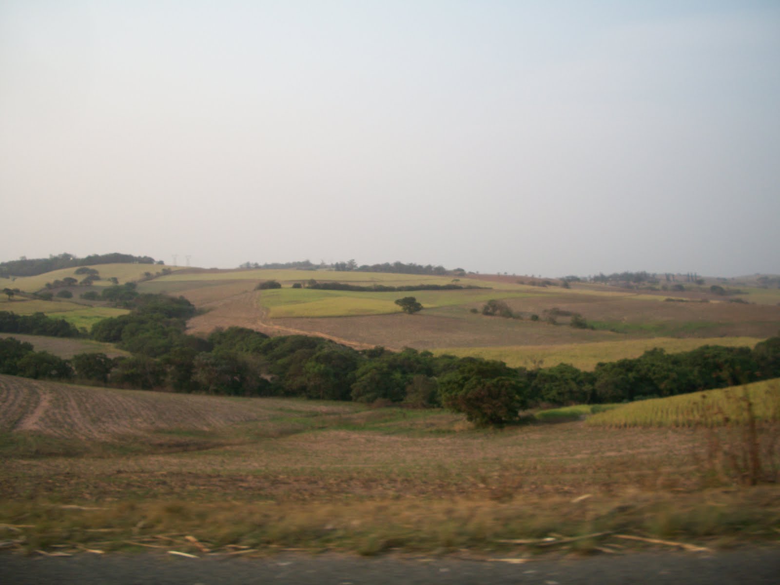 Szar-Treks: Indian Ocean and the way to Appelsbosch