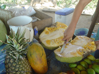 SEPTIMO CANTÓN: La Yaca el fruto que está sacando del atraso a los ...