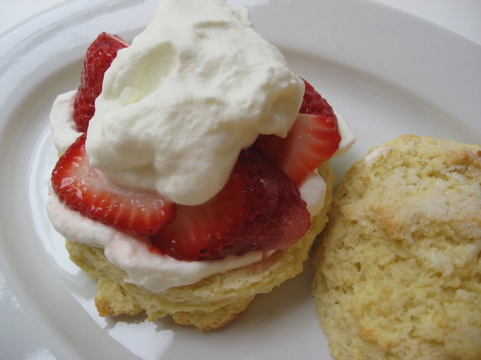 she's in the kitchen: strawberry shortcakes with sweet buttermilk biscuits