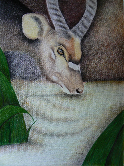 Art by Boifang Samaje: Katlego Tutorial College, Maun, Botswana
