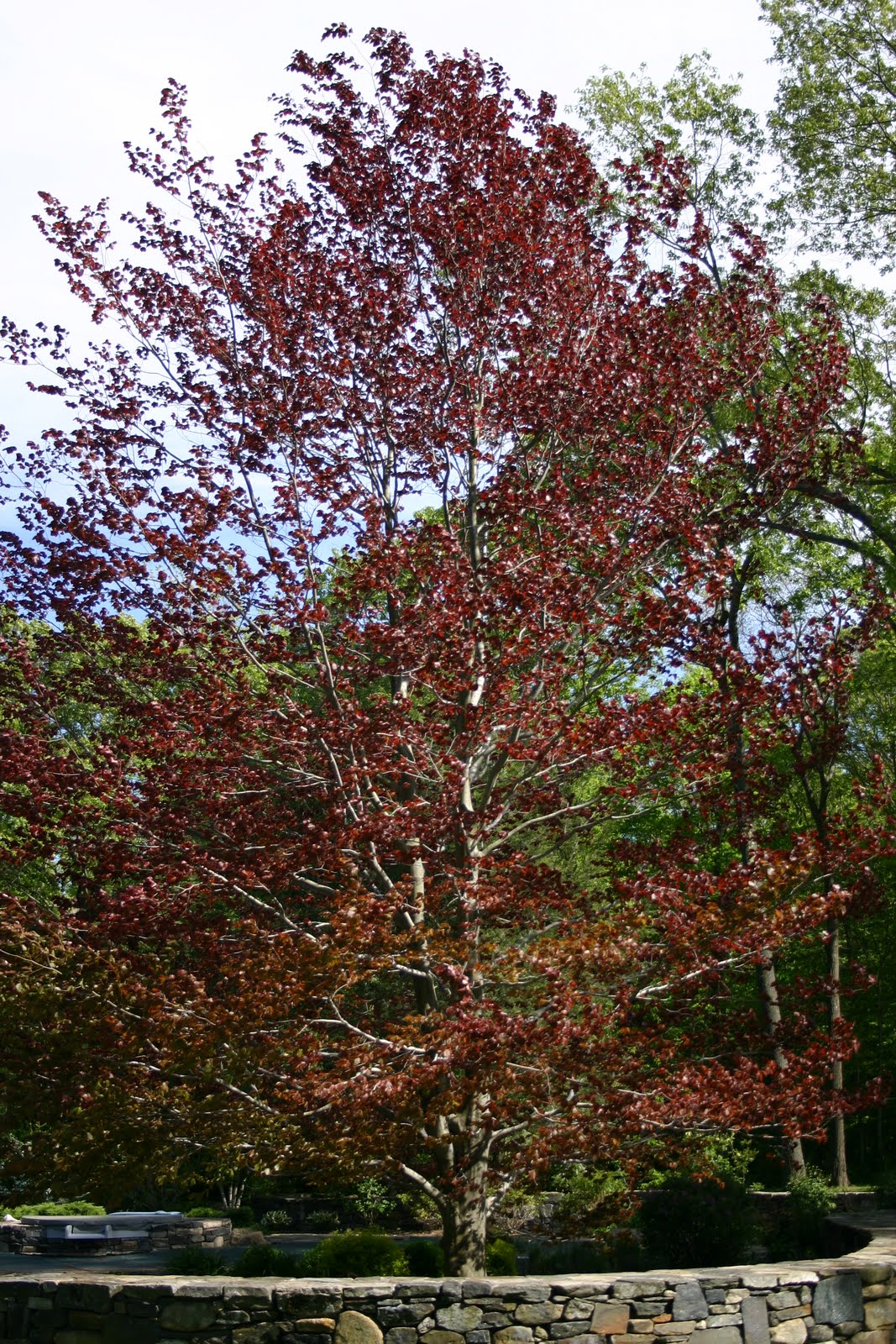 Things I will miss… – This Old House 2