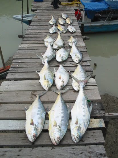 BULETIN HASILKLSC: ONE PHANTOM BANK, PORT KLANG