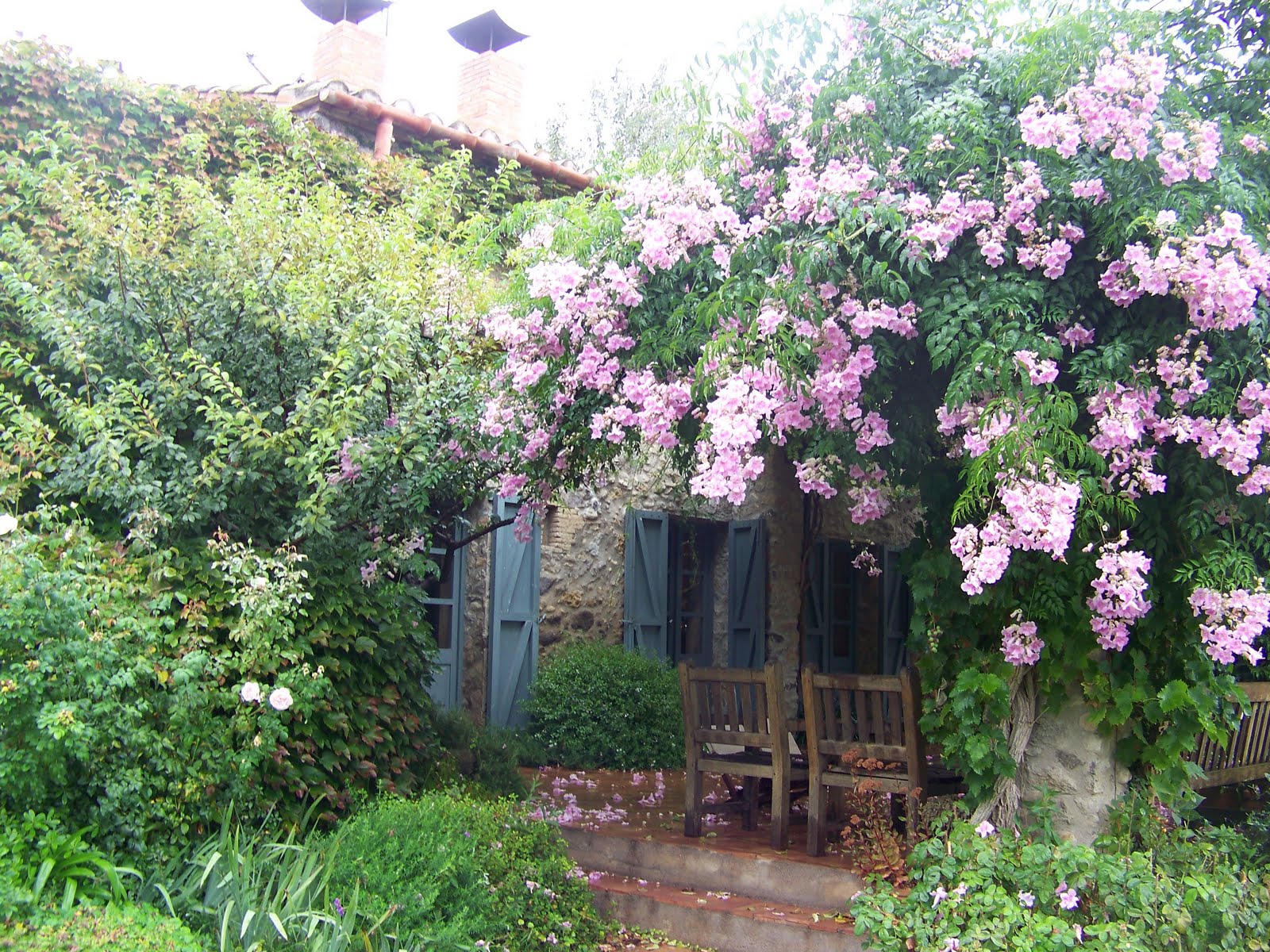 ADICTOS A LA LUJURIA: VISITA A VINS DE TALLER ( GIRONA)