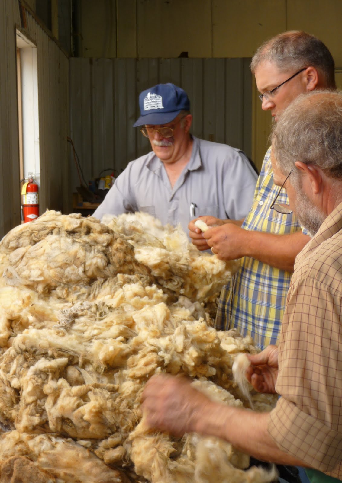 Wild Rose Farm: June 2010