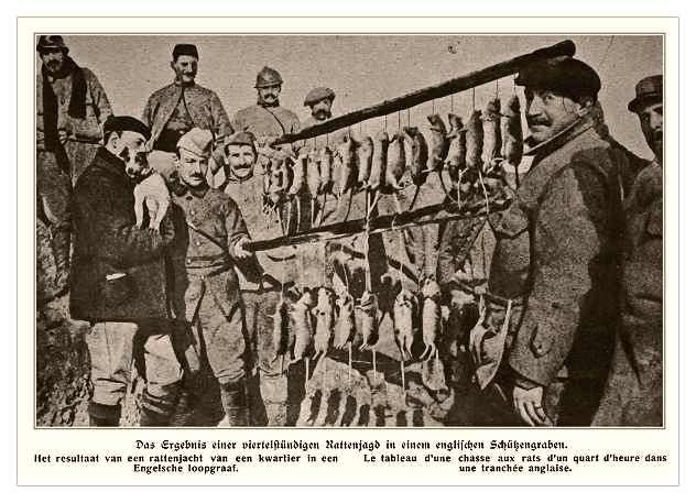 Terrierman's Daily Dose: World War I Rat Hunters in the Trenches