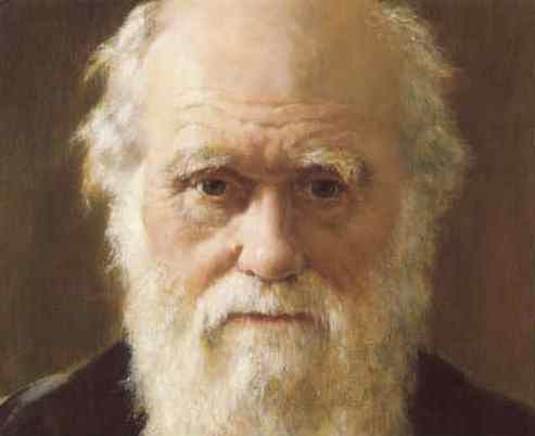 Terrierman's Daily Dose: Darwin's Little Lesson on Inbreeding