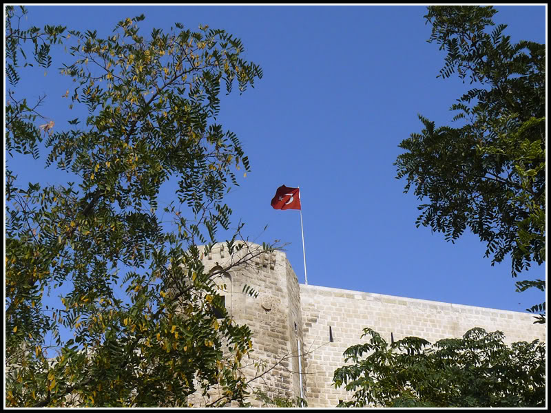 "A PIECE OF EUROPEAN TREASURE": The Story of Turkish Flag