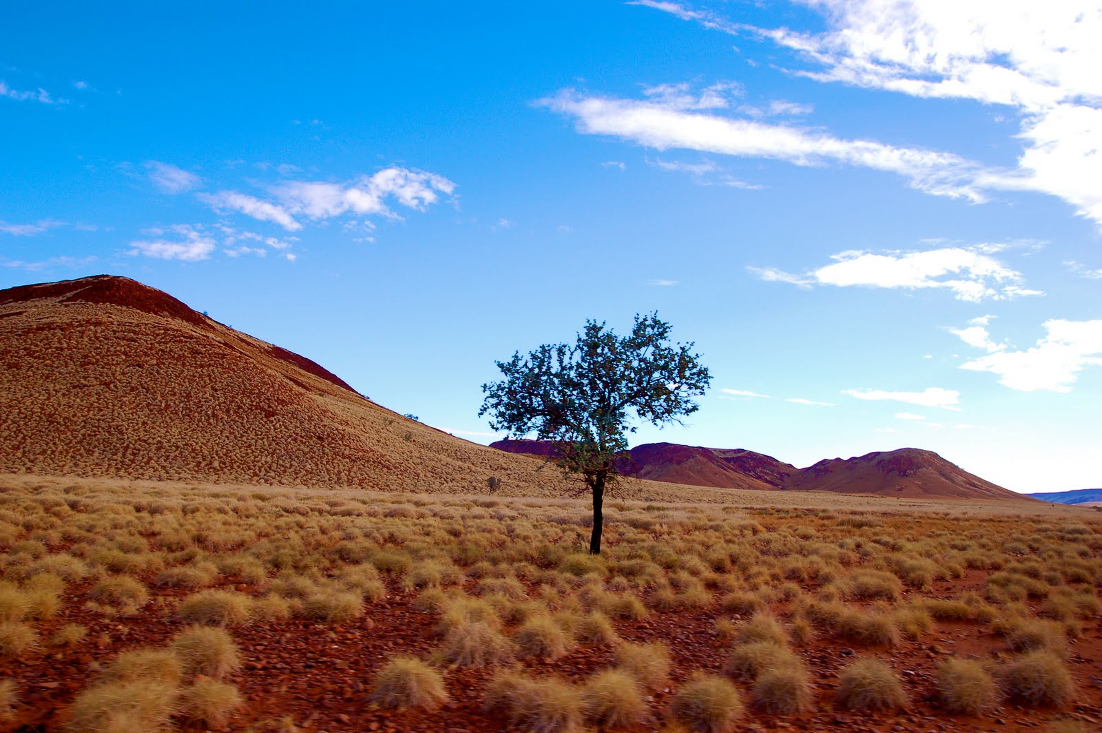 Ida goes east, west and south!: WILD, WILD, WESTERN AUSTRALIA