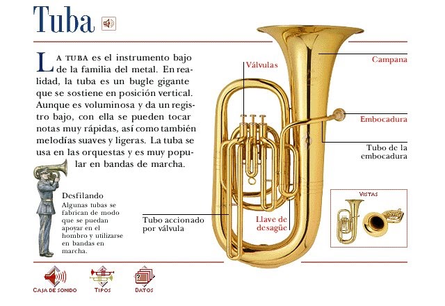 Nuestros instrumentos: La tuba