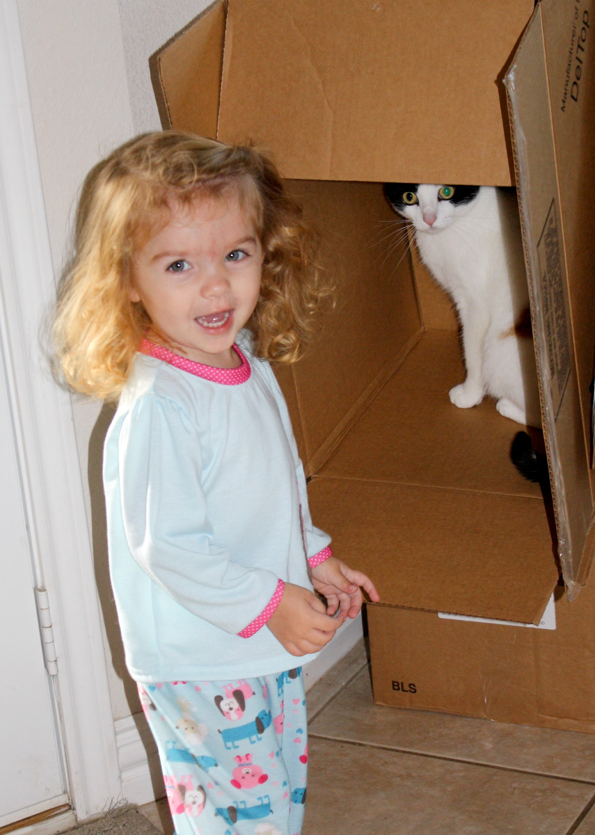 Milla's Many Adventures: ASI & Final Walkthrough...