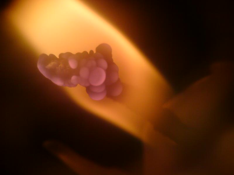 Candle Flame Candle Flame