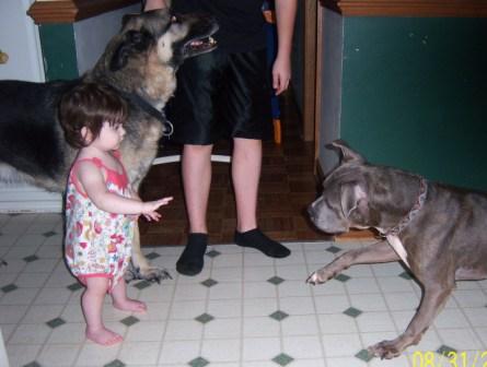 Toddlers imitate....it's what they do. - Family Paws Parent Education