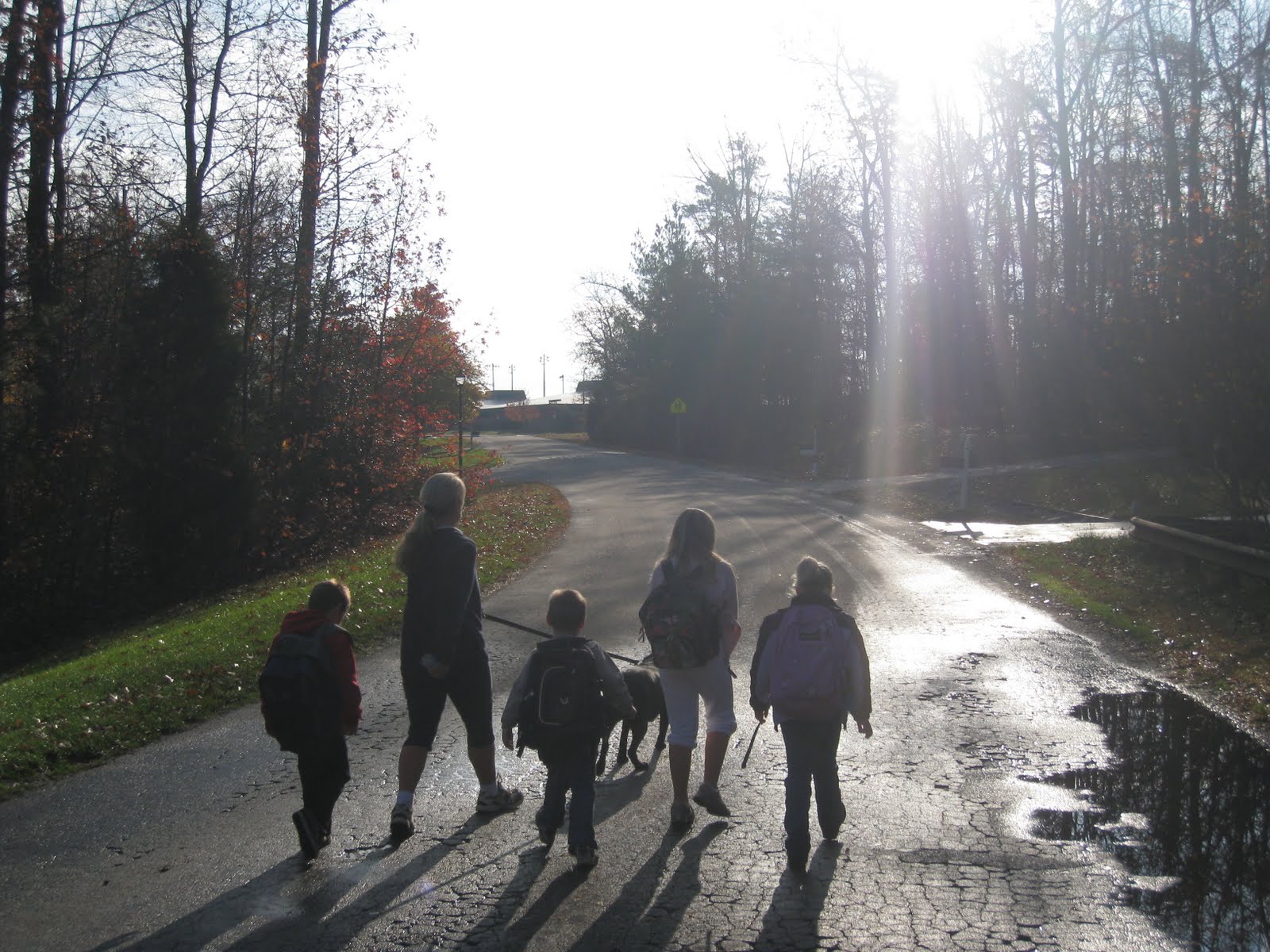 Robious Elementary School Green Club