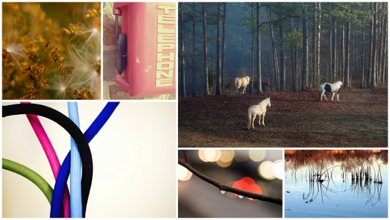 Creating Classy Photo Collages · 365 Project Blog