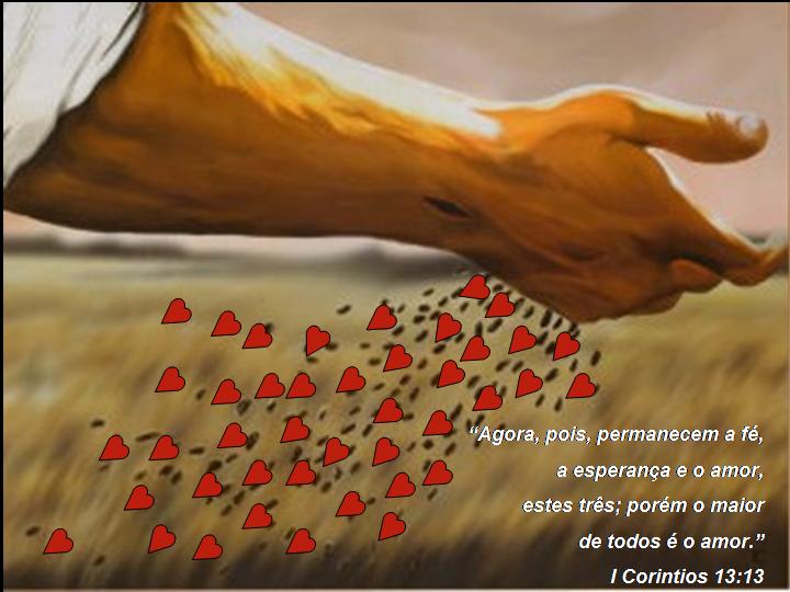 Ministério SEMEAR Igreja Batista Munhoz Jr.