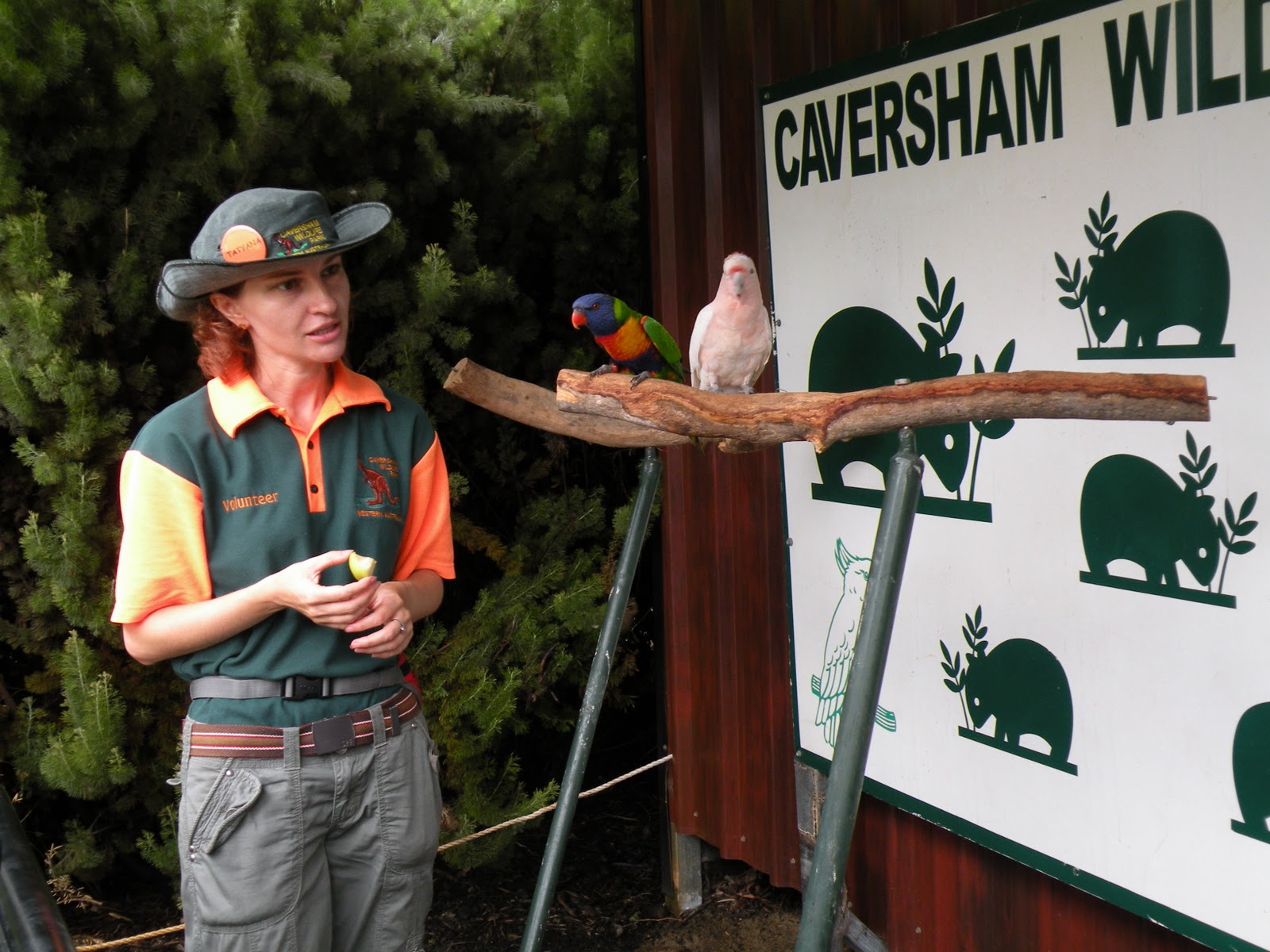 Australia: Caversham Wildlife Park - this park features animals of ...