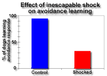 Martin Seligman: Learned Helplessness