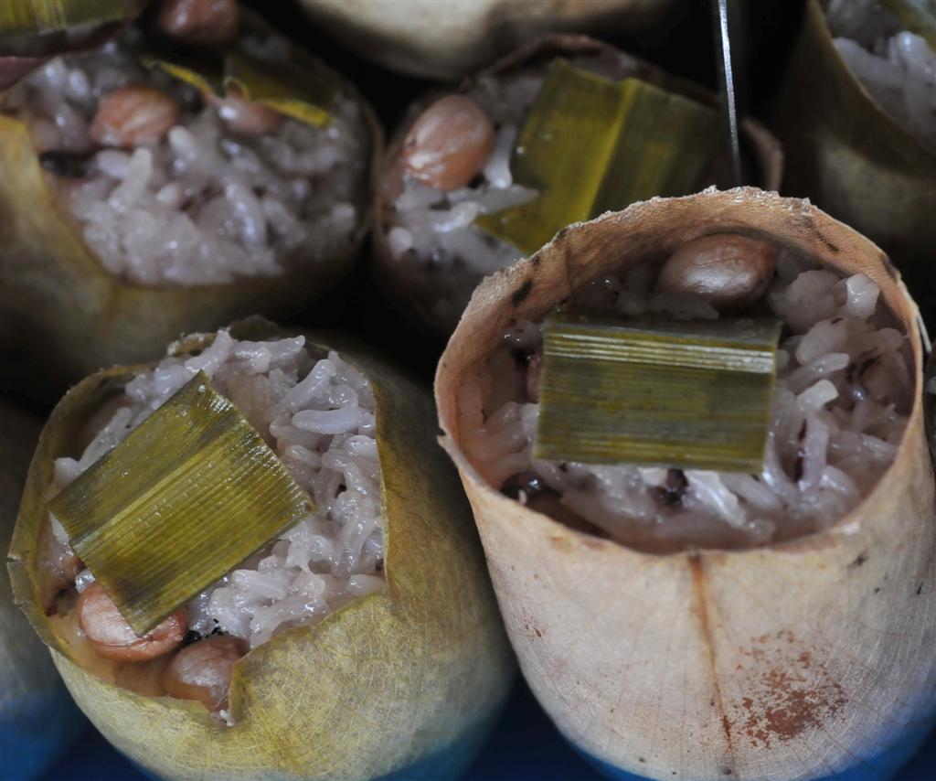 逍遙遊 going places: pitcher plant rice dumpling 豬籠草糯米飯