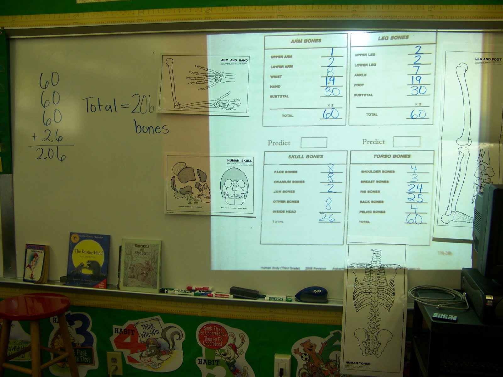 CoonDOGS: Counting Bones